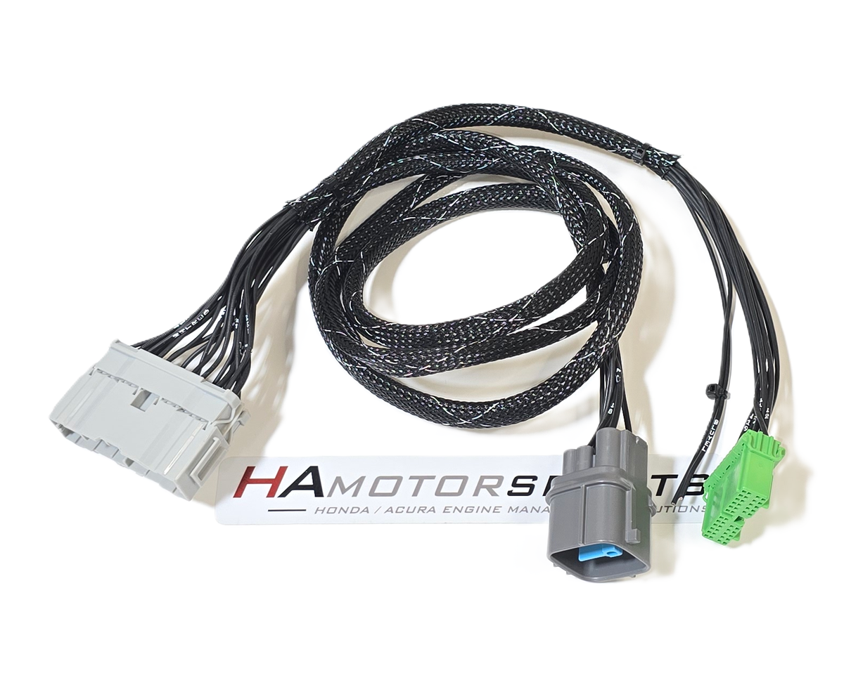 Rywire 96-98 Civic (EK) D/B Series Tucked Engine Harness Chassis Speci ...