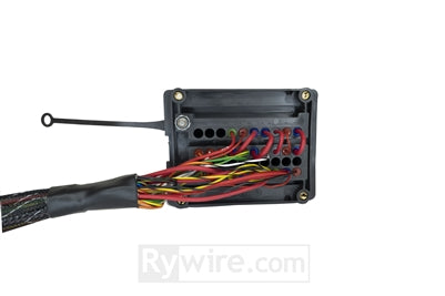 Rywire Universal Fuse/Relay box for Rywire K series engine harnesses ...